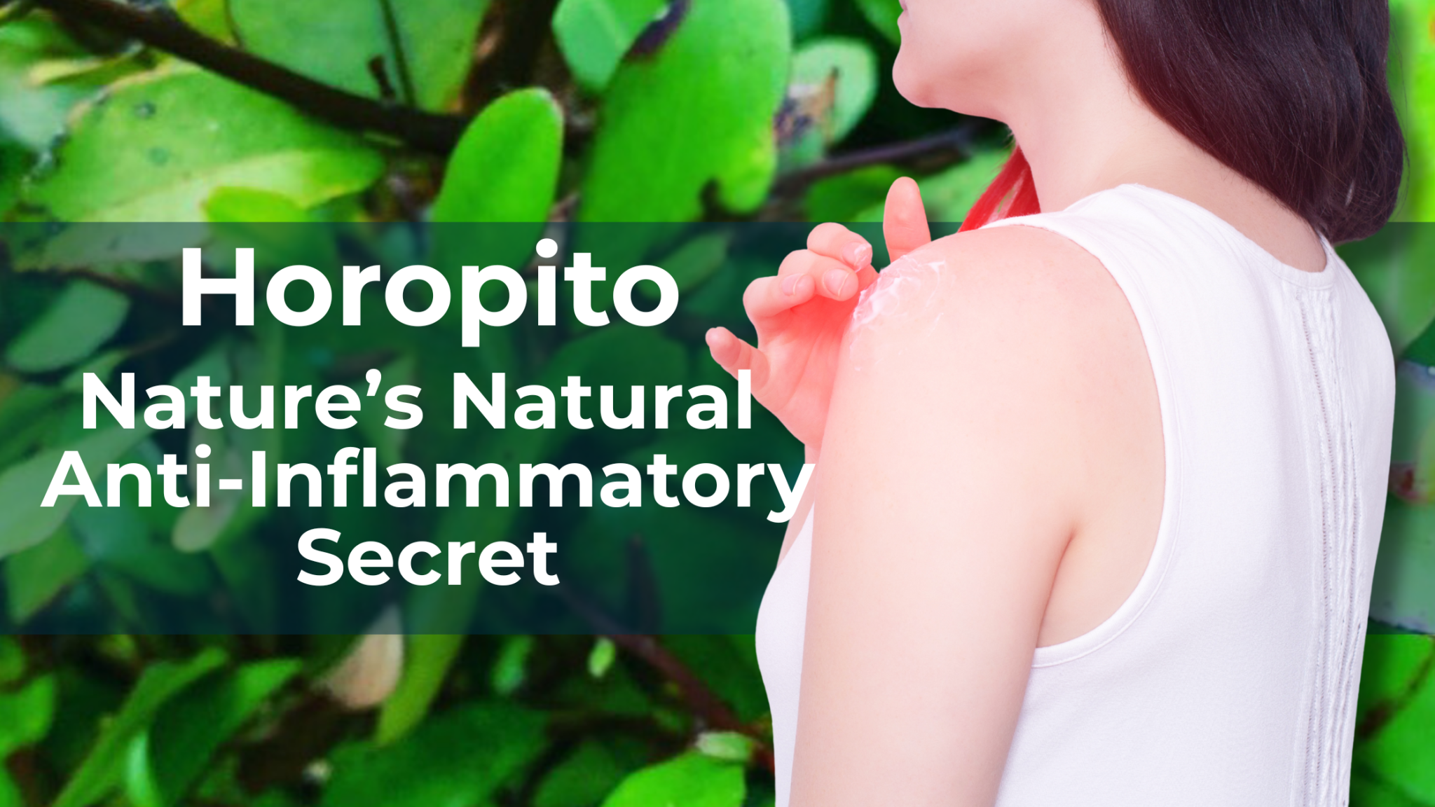 Horopito: Natural Anti-Inflammatory NZ Secret